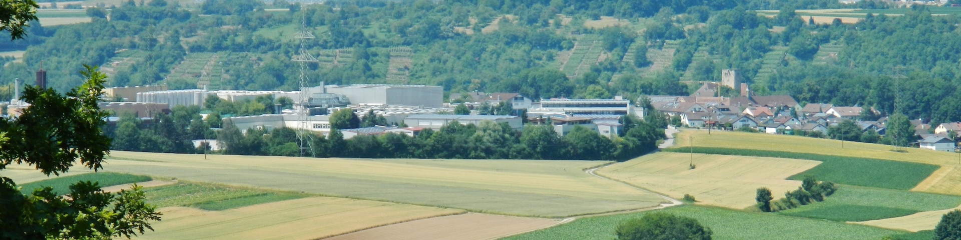 Ausblick Richtung Enz auf Unterriexingen, im Hintergrund das Gewerbegebiet Eichwald und der Baiselsberg als höchste Erhebung des Strombergs.