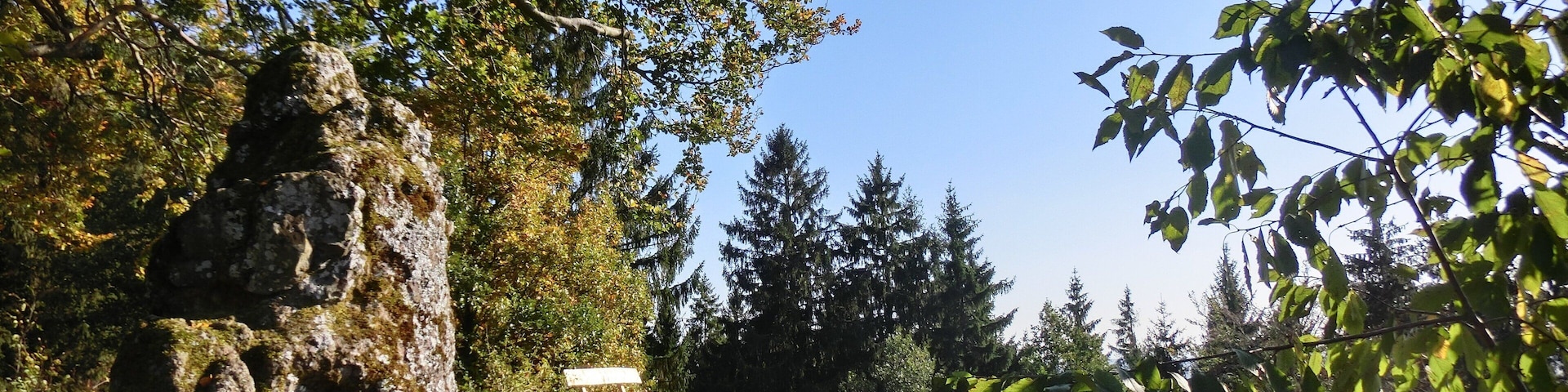 Aussichtsbank am Anzenstein