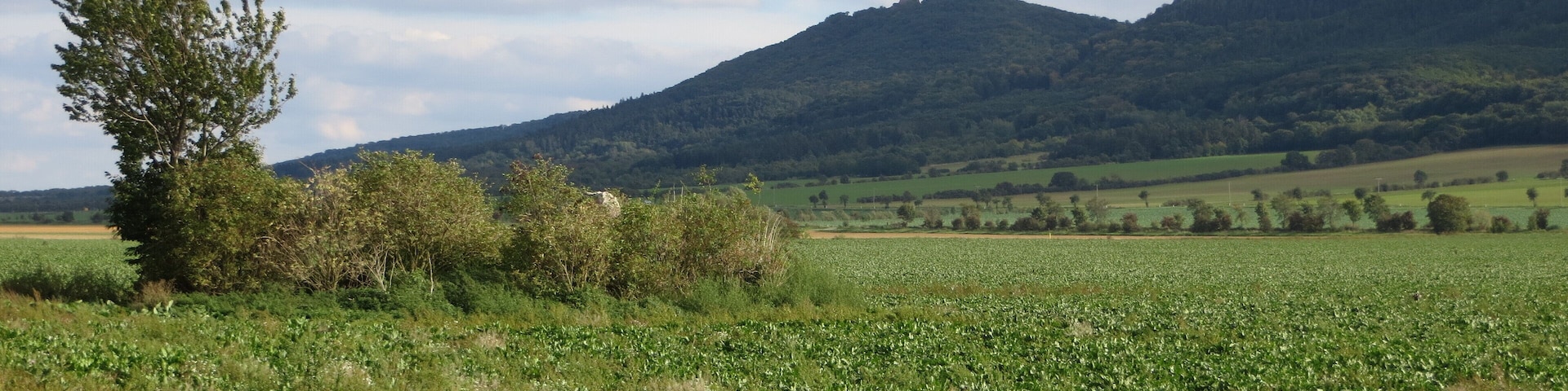 This is a photograph of an architectural monument. It is on the list of cultural monuments of Kelbra (Kyffhäuser), no. 094 84697