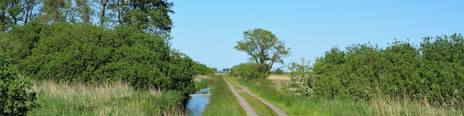 This is a picture of the protected area listed at WDPA under the ID