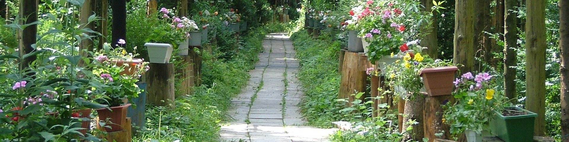 Blumen säumen die Wege