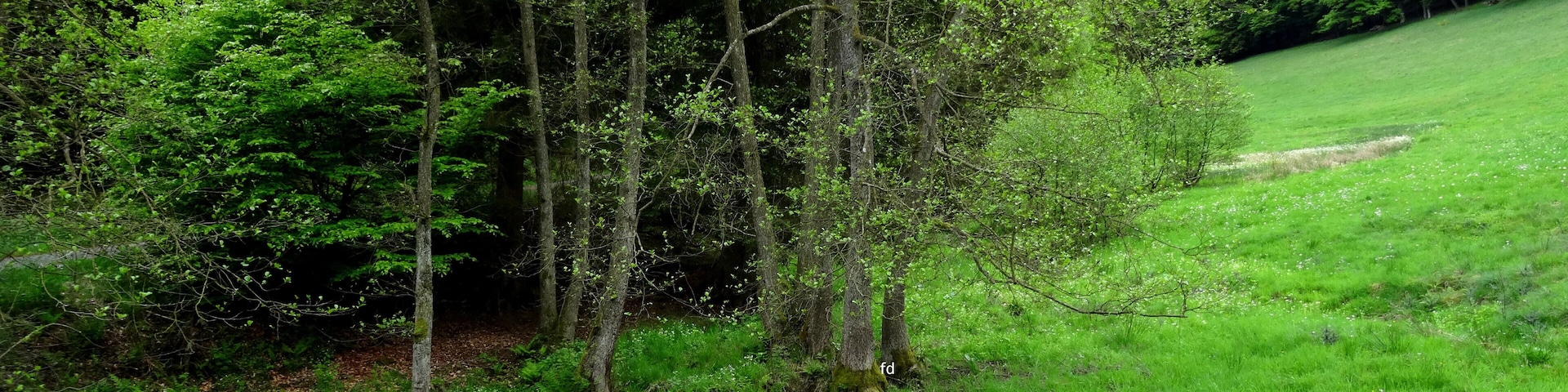 Naturschutzgebiet „Reitmecke“ (NSG HSK-011) in Olsberg