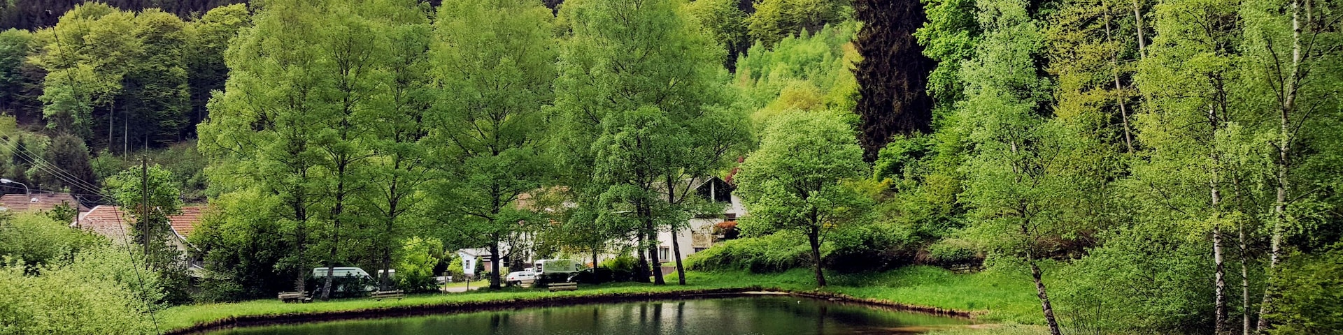 Möllbach pond in Elmstein