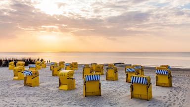 Uma praia com fileiras de cadeiras de praia amarelas numeradas.