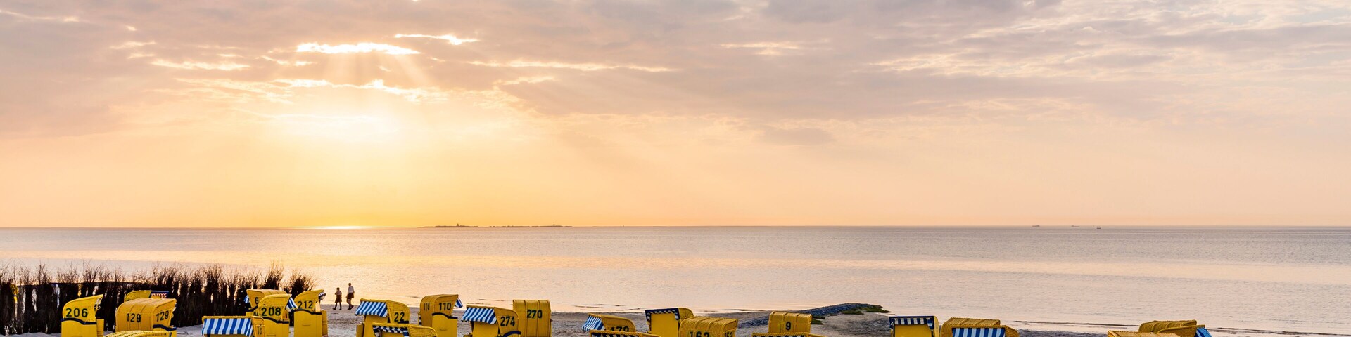 Uma praia com fileiras de cadeiras de praia amarelas numeradas.