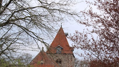 Uma igreja de pedra histórica com telhado de telhas vermelhas, rodeada por folhagem outonal e arbustos floridos.