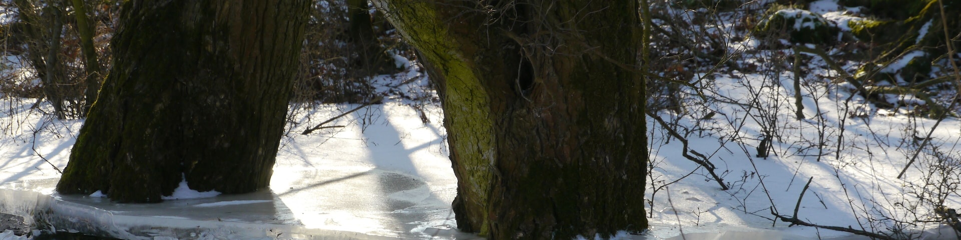 Abgesacktes Eis 2012