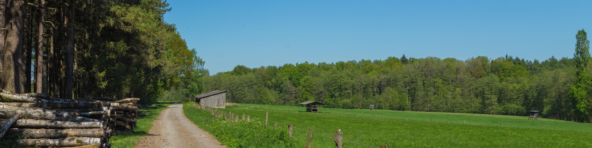 Dirt road called Wood Mountain (Holzberg) at Maiburg forest near Bippen, Samtgemeinde Fürstenau, Landkreis Osnabrück, Lower Saxony, Germany.