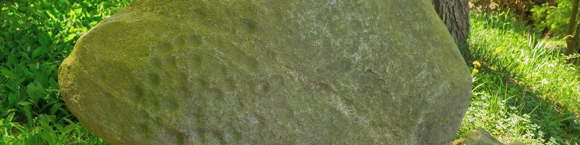 The Saucers Stone (Näpfchenstein) in Bippen-Restrup, Samtgemeinde Fürstenau, Landkreis Osnabrück, Lower Saxony, Germany. The stone is a listed natural monument.