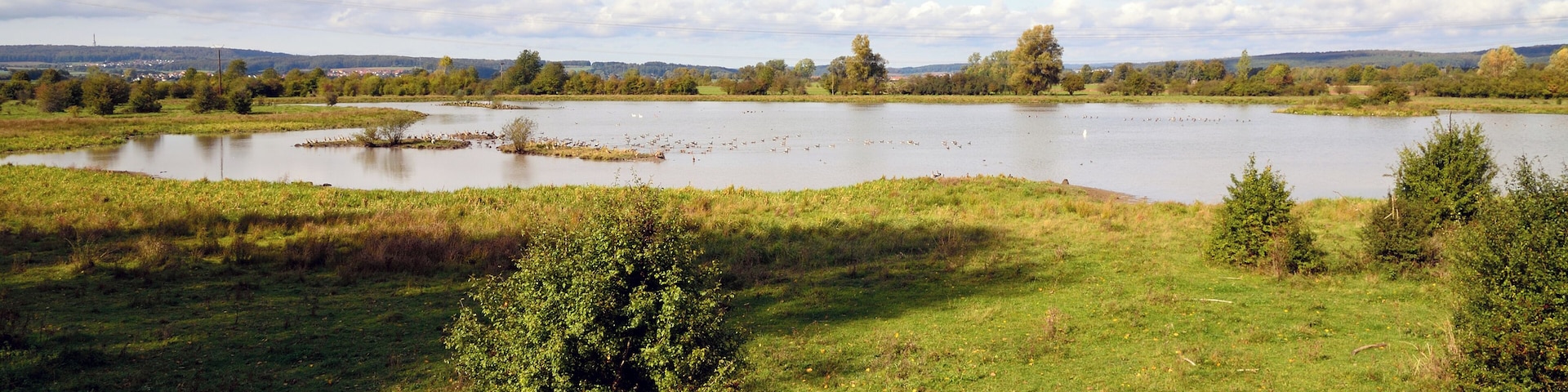 Die "Radenhäuser Lache" zwischen Kirchhain und Amöneburg