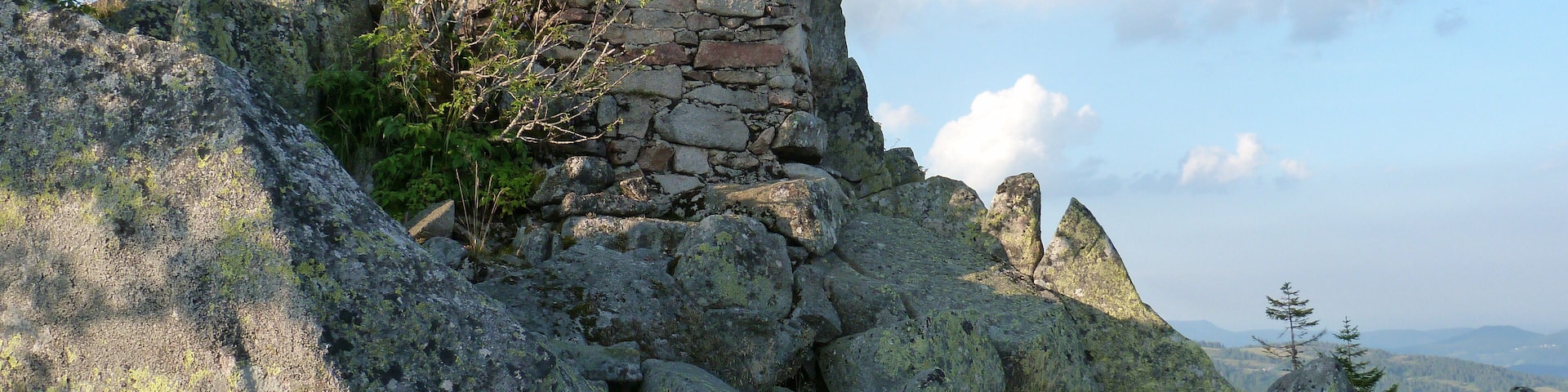 Le Tanet (massif des Vosges).