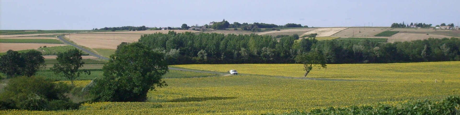 Paysage près de Cônac