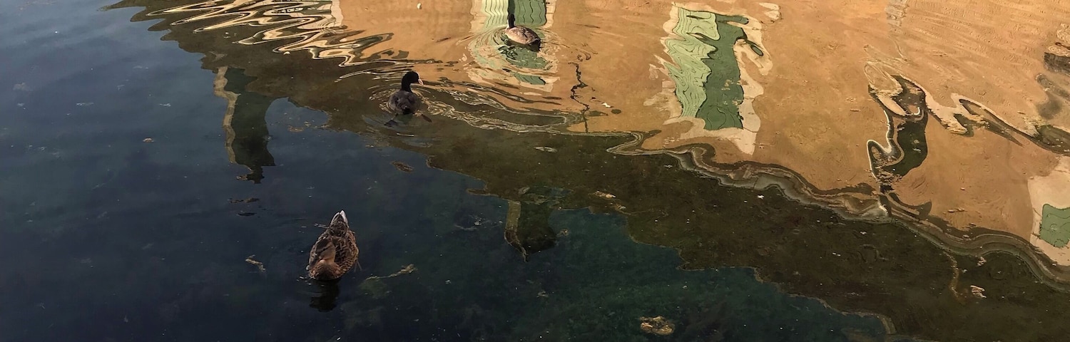 A beautiful, tranquil pond near the auberge