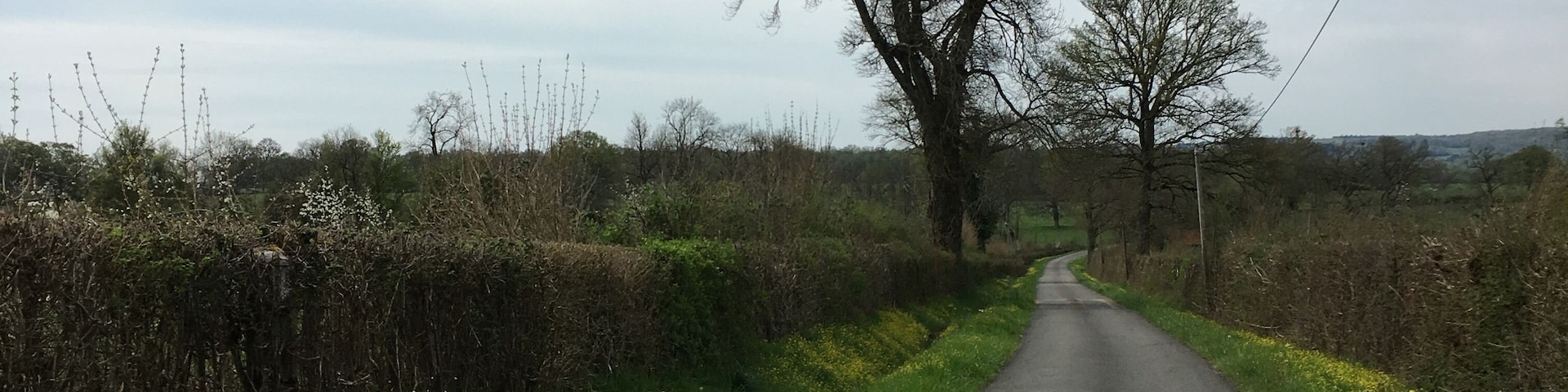 Country road and flowers, spring is back #easterweekend #lifeatexpedia