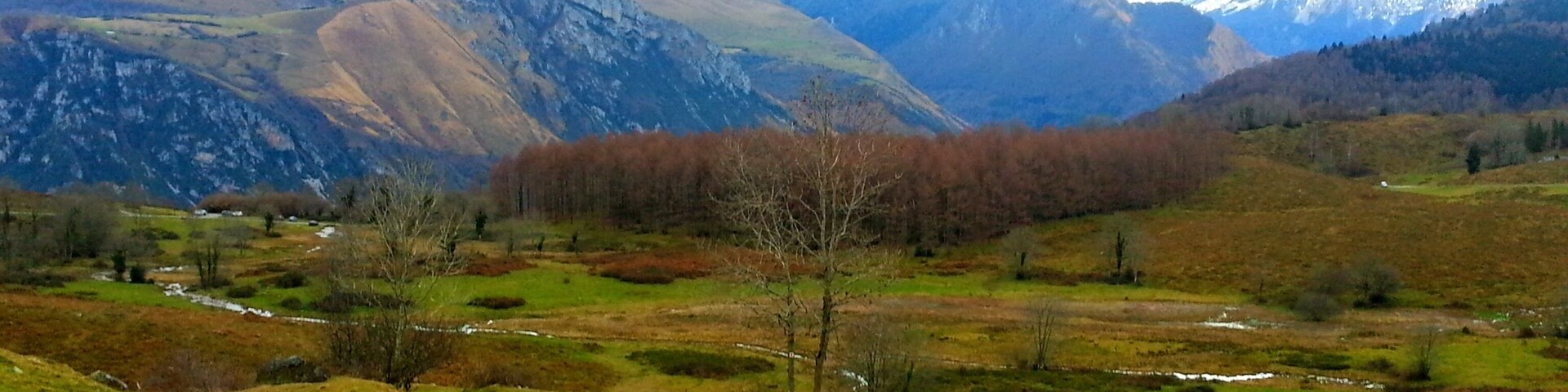 Sur le plateau de Bénou, au col du Portaigt