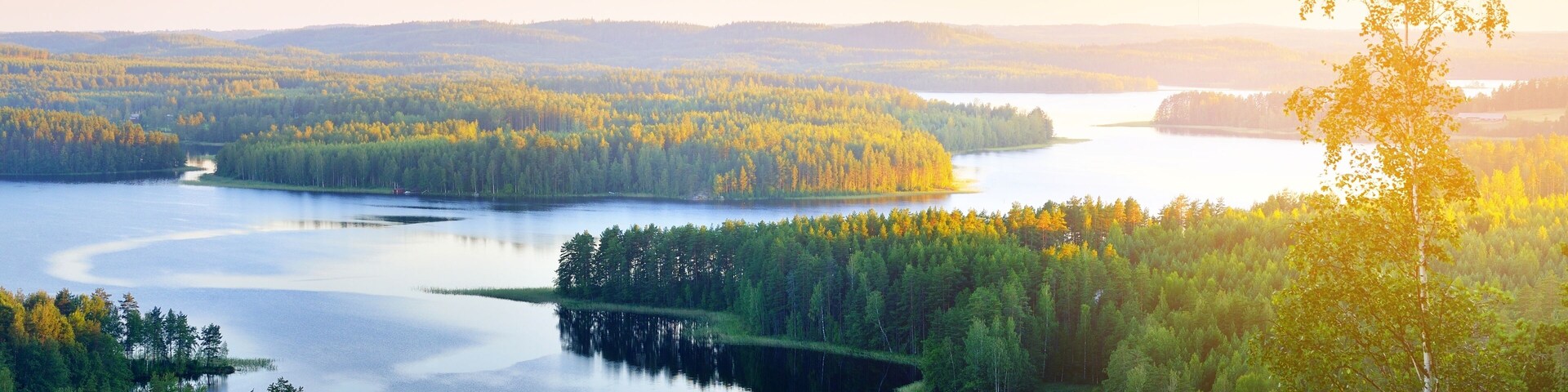 Um lago sereno rodeado por florestas densas, sob um céu limpo.