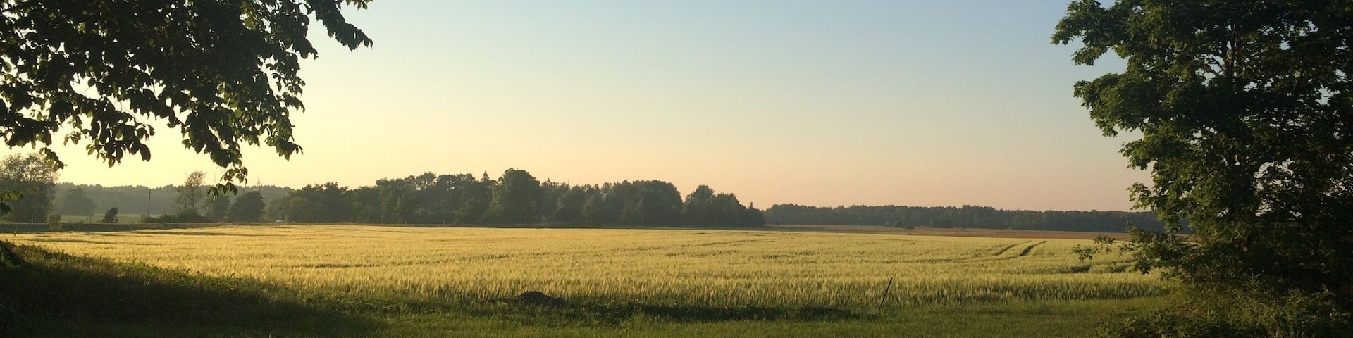 Early morning in Saaremaa island, Latvija