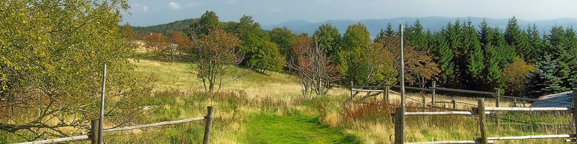 Louky Komáří Vížky