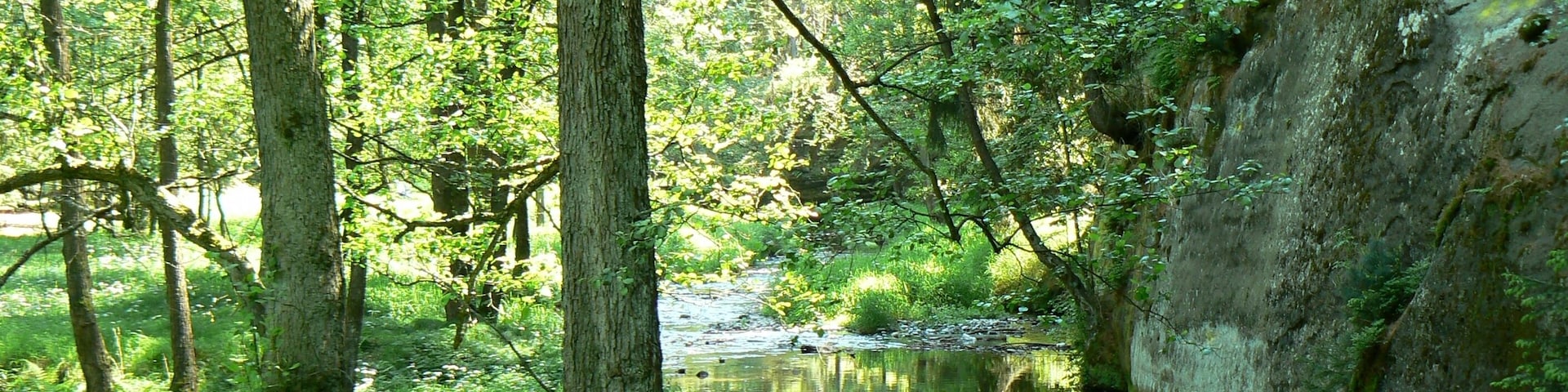 Nature Reserve Pavlino (or Pavlínino) údolí with river Chřibská Kamenice cutted into the Cretaceous sandstones, near Jetřichovice in Děčín District