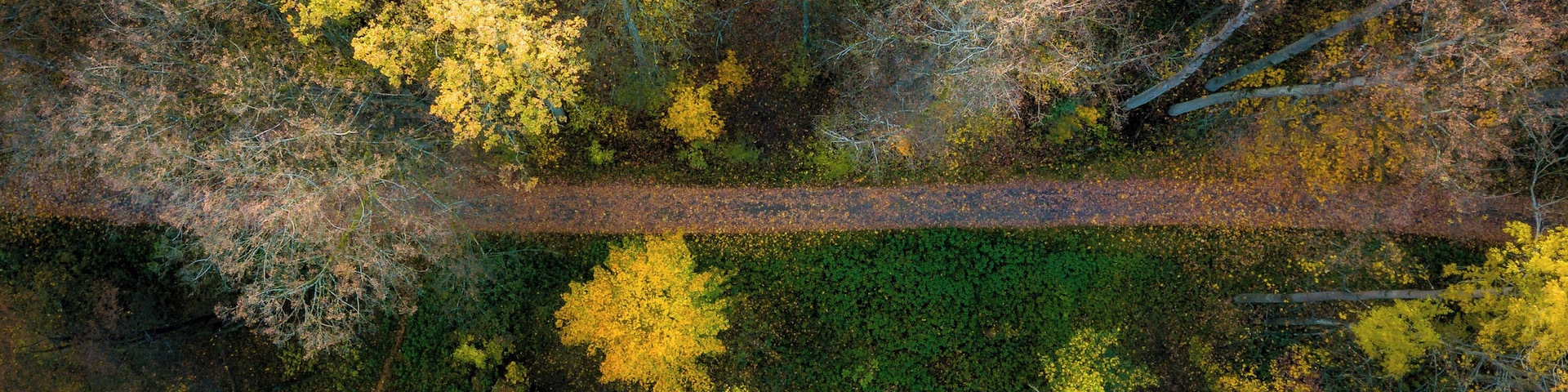 I love the possibility the drone photography gives you. It's true that some of these views are well overused, but I promised to myself that I will try as many approaches to autumn photography I can and here comes another idea with the forgotten forest path.