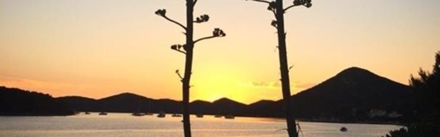 Agave sunset on Molat island #goldenhour