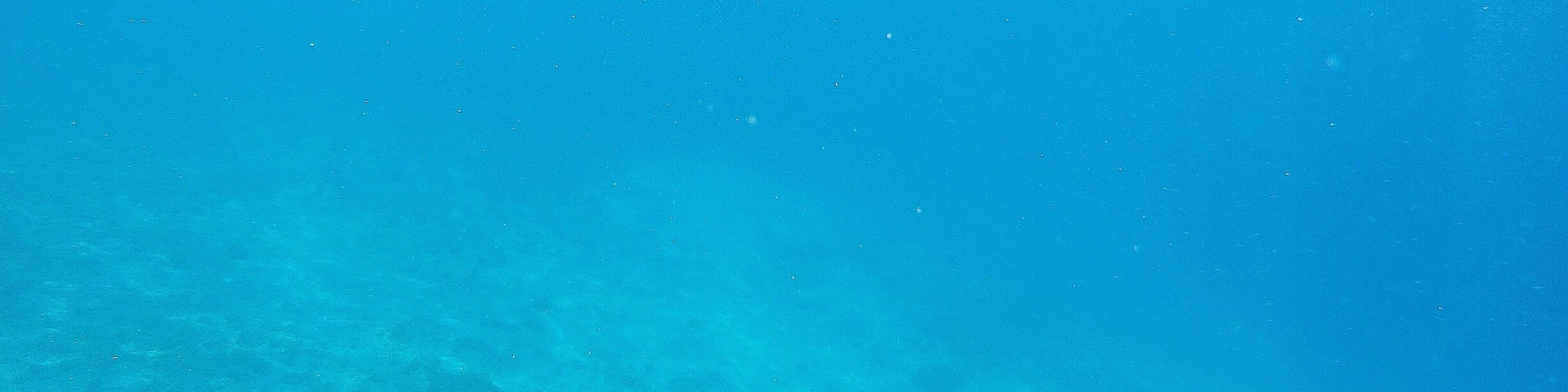Mergulhador debaixo d'água, com fundo oceânico azul e translúcido.