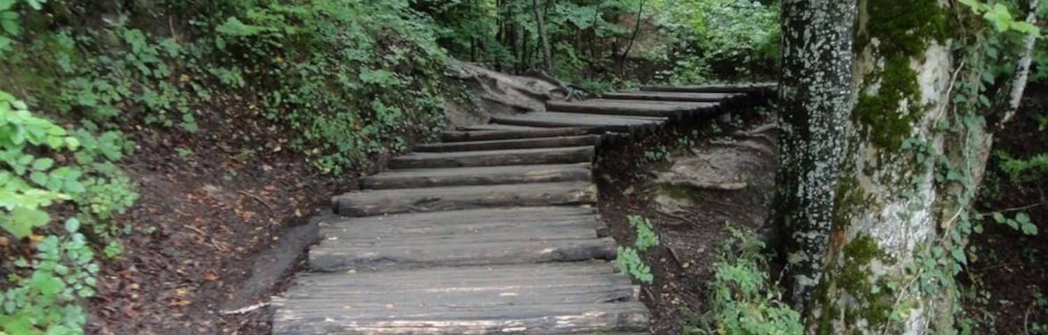 A definite 'must see'!  Best day excursion from Zadar, only 1:40 hrs to get there & the 5 hours we had to wander around was enough to see most 😉