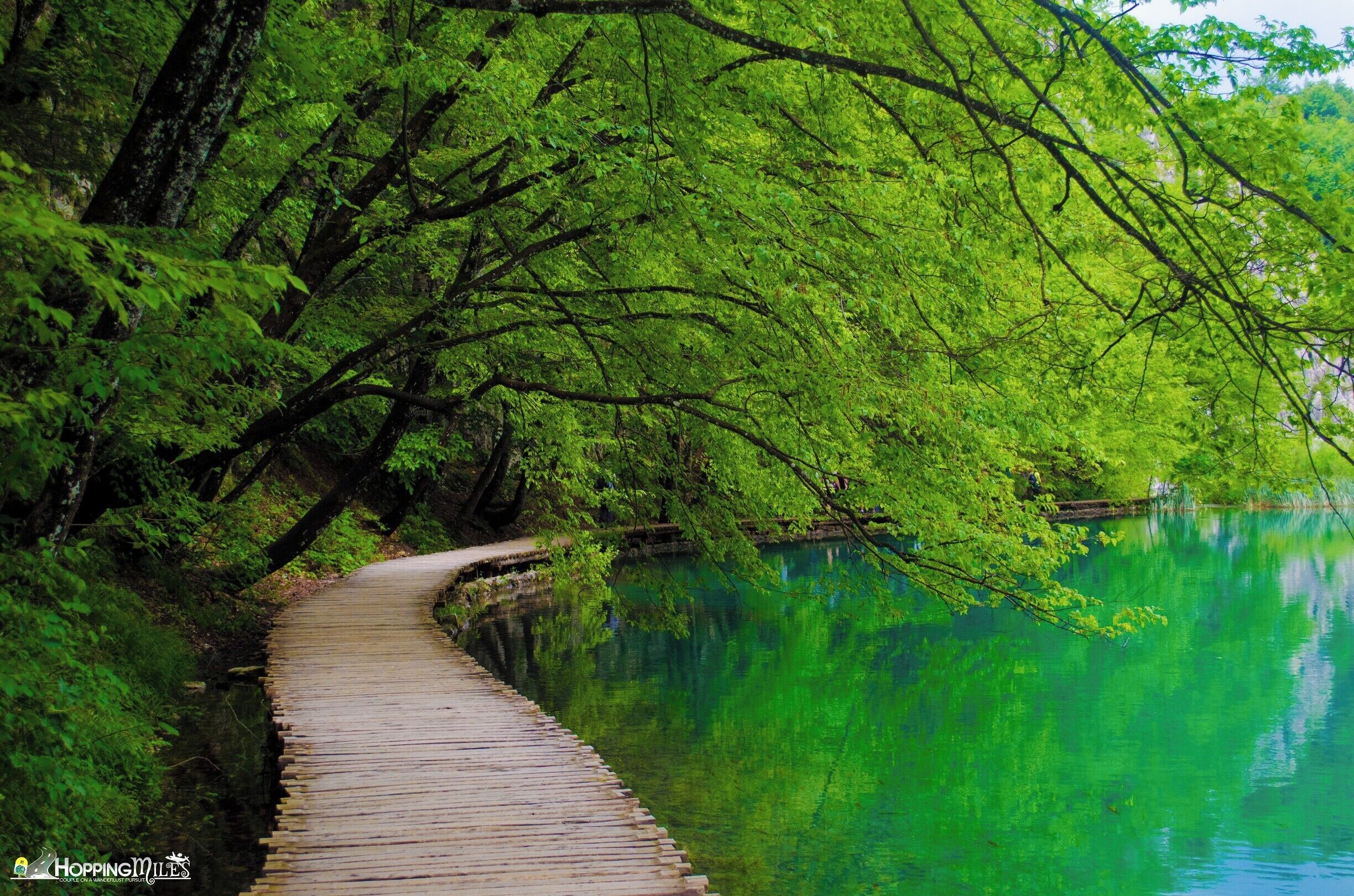 A water wonderland on Earth - Plitvice Lakes National Park in Croatia. Greeting waterfalls can be found in every curve of this expansive National Park. Waterfalls of every size are perfectly complimented by rickety wooden paths and lush green vegetation in spring. Come early and have the whole place to yourself - devoid of crowds and enjoy the tranquility of Plitvice to the fullest! #Green

http://hoppingmiles.com/perfect-guide-explore-plitvice-lakes-croatia/