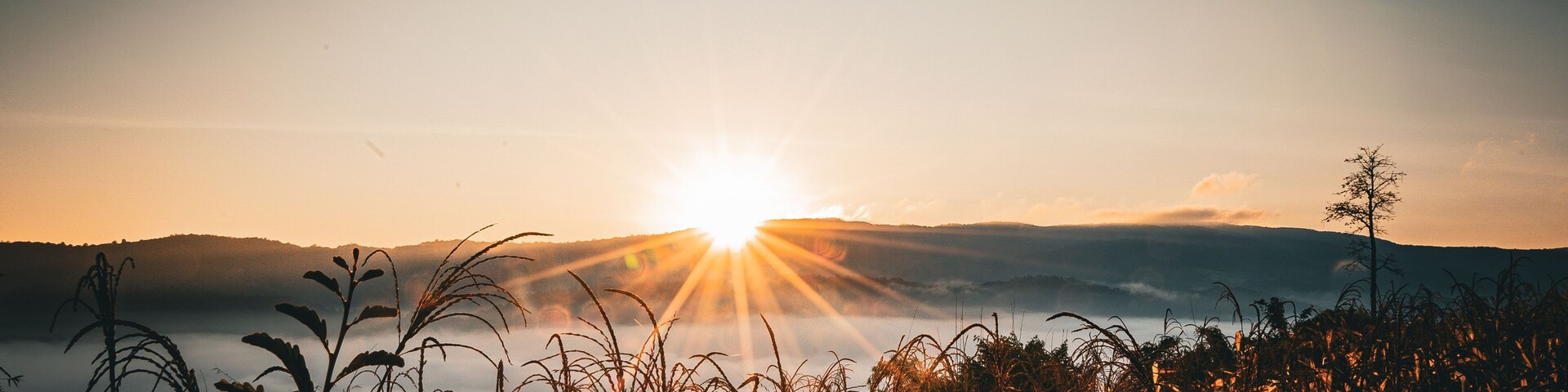 Nascer do sol sobre uma paisagem montanhosa com um campo de grama alta em primeiro plano.