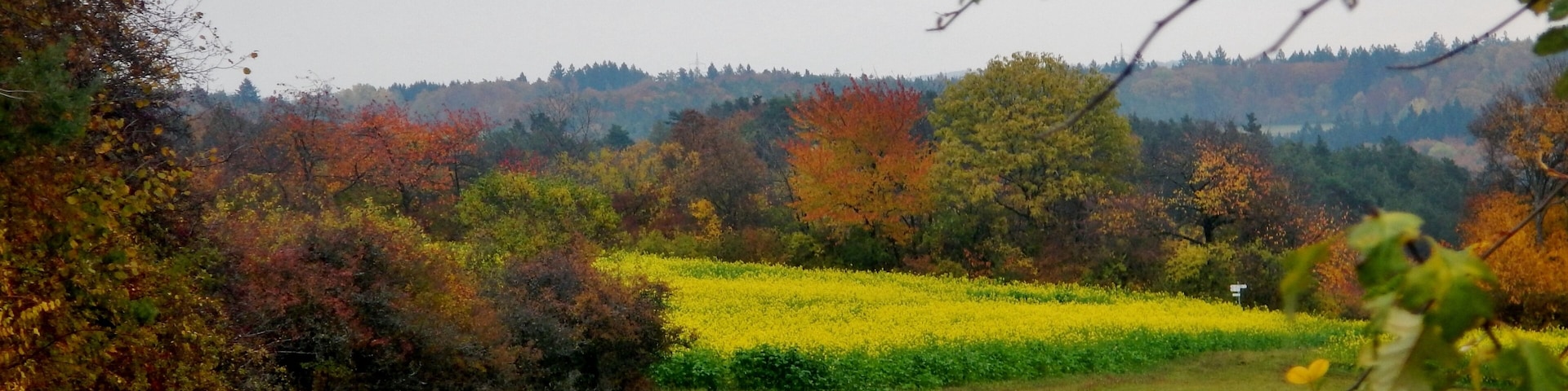 Heckengäu, Land.Tour SchafSpuren