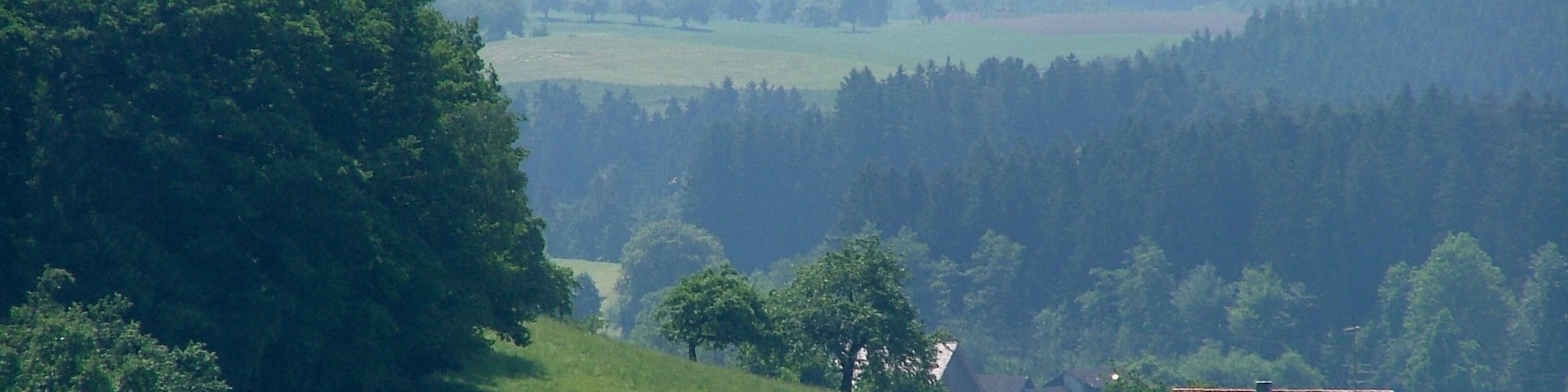 Ausblick