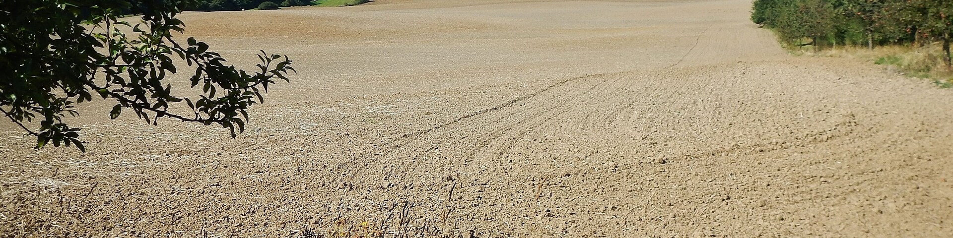 An der ehemaligen innerdeutschen Grenze in der Nähe vom Mechower Holz