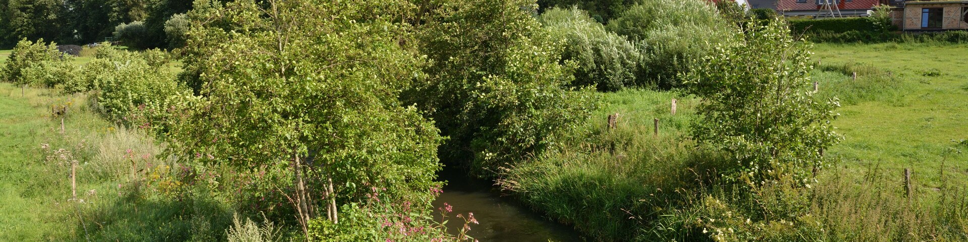 Impressionen der Störbrücke in Padenstedt
