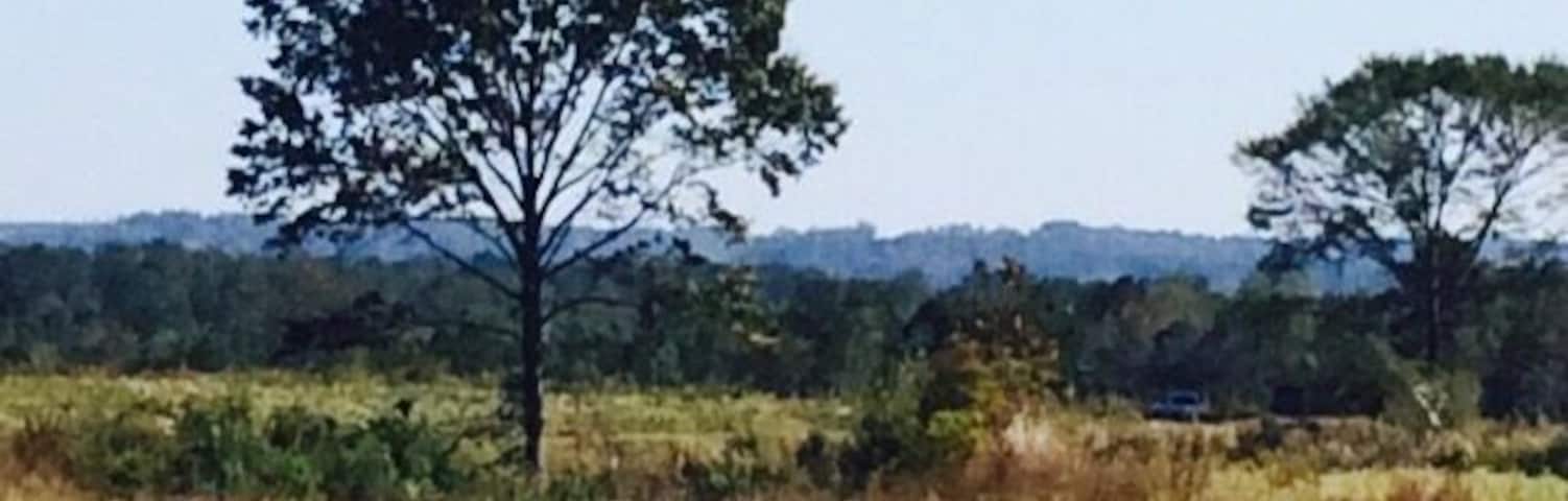 On up the road. Technically this is dozier Alabama