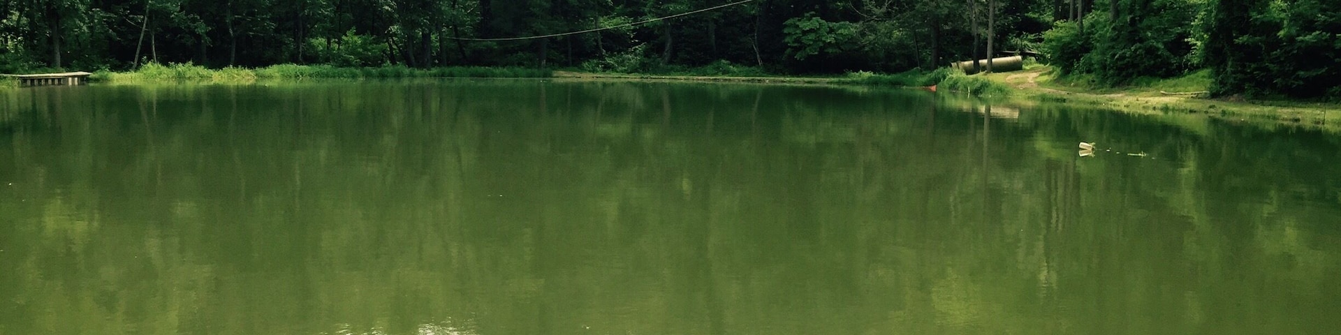 A wonderful made pond right outside the Hobbit House, complete with a zip line.