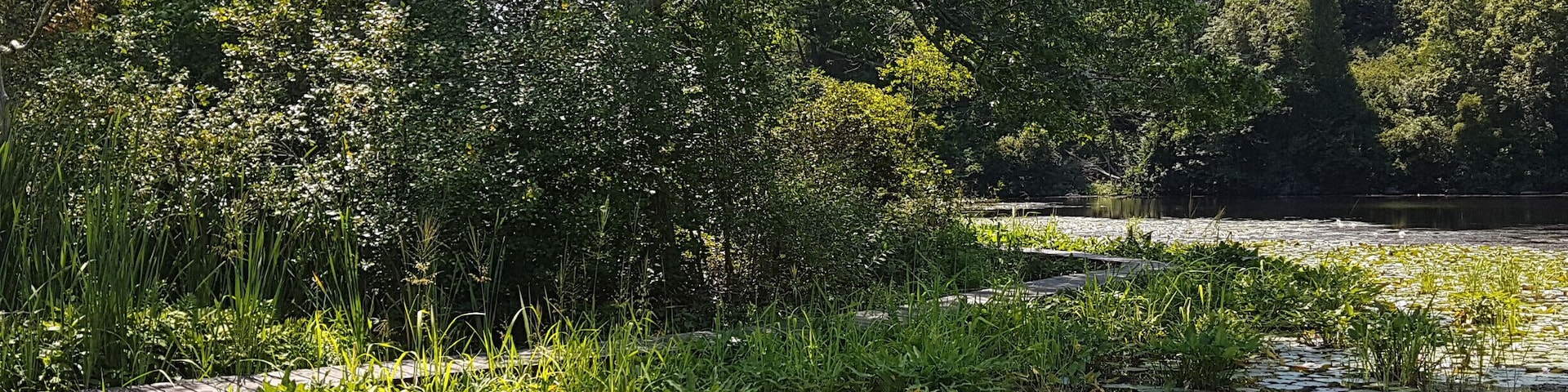 What a gorgeous day at the Sanctuary. Don't miss it!