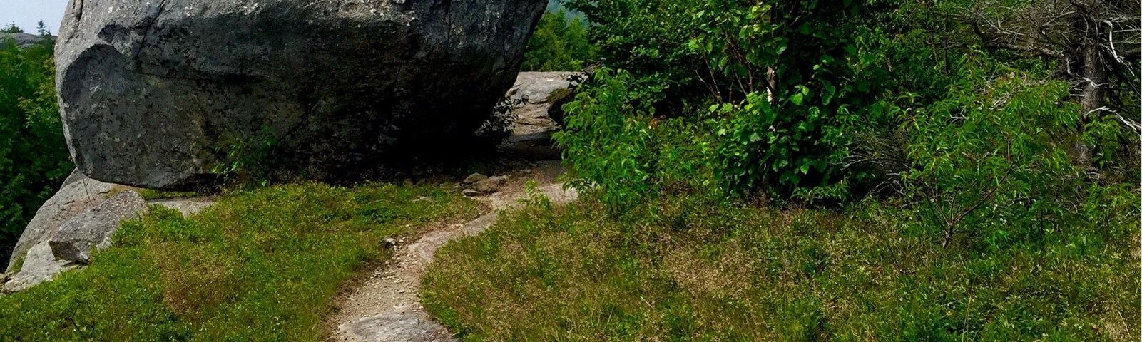 A balanced glacial erratic about 4.0 miles along the #EastTrail from #BlueberryCobbles and #BaldPeak to #RockyPeakRidge and #GiantMountain
#HighPeaks #Adirondacks