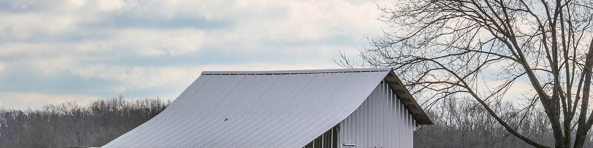 Approx. 60 miles south of Nashville, there is a quiet and mostly unknown Amish community. You will feel as though you have stepped back in time. There is no electricity use, farms are tended by horse and plow, and clothes can be seen hanging on lines to dry. 
Most families have handmade signs at the end of their driveway indicating what goods they sell to the public. Don't be shy, simply go to the door and kindly ask about their wares. The furniture makers have the most beautiful and sturdy pieces you will ever see. 
Be cautious of the horse and buggies traveling the highways with you. 
Do not take pictures of the Amish. They are very serious with the belief that a photograph is considered a graven image and it is against their religious belief. 
Plan for at least half a day. The roads are confusing and you will enjoy chatting with the families regarding their wares. The women are quite shy but will answer your questions!