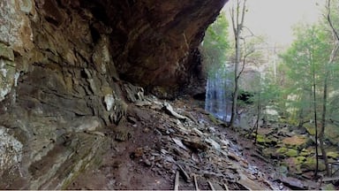 Abertura de caverna com cachoeira e floresta.