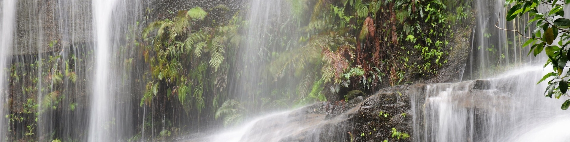 This is Gap Creek Falls in Watagans National Park. It's a relatively short but tricky walk and you'll be extremely lucky to see this sort of flow going over. However, when you get some good rain, the fall expands dramatically and is well worth the walk in.