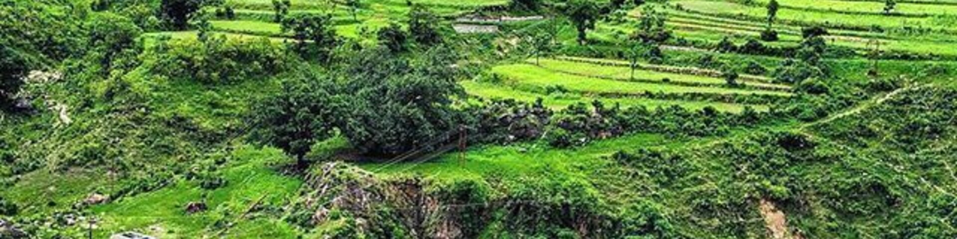 Campos em socalcos, um rio e uma linha costeira rochosa.