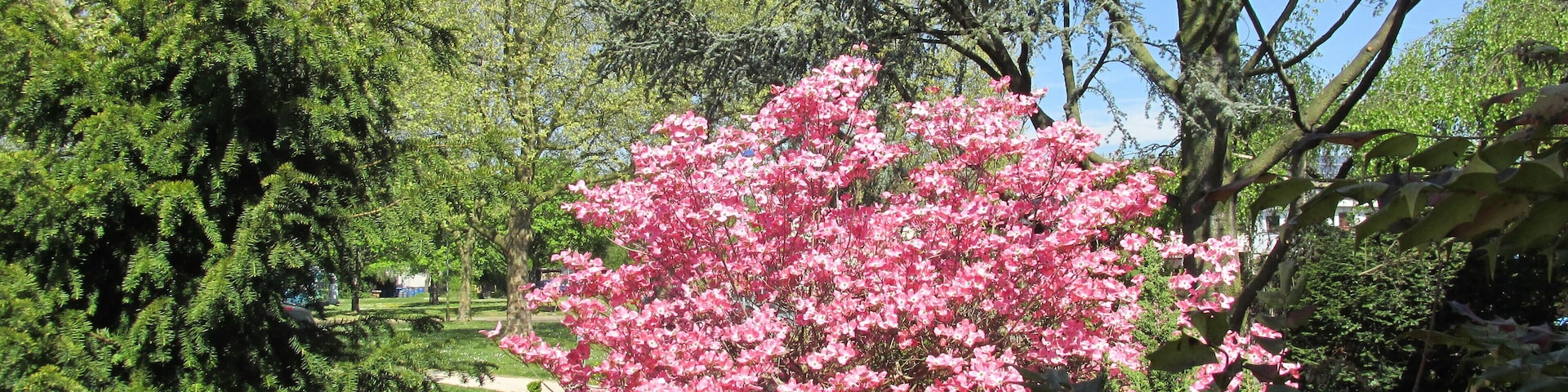 Frühling am Raiffeisenplatz