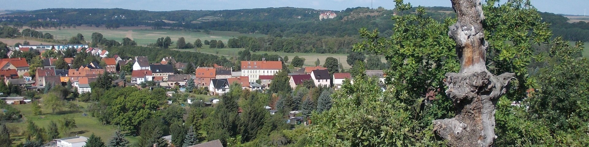 View of Leissling (Weissenfels, district: Burgenlandkreis, Saxony-Anhalt) from the vantage point at the old oak