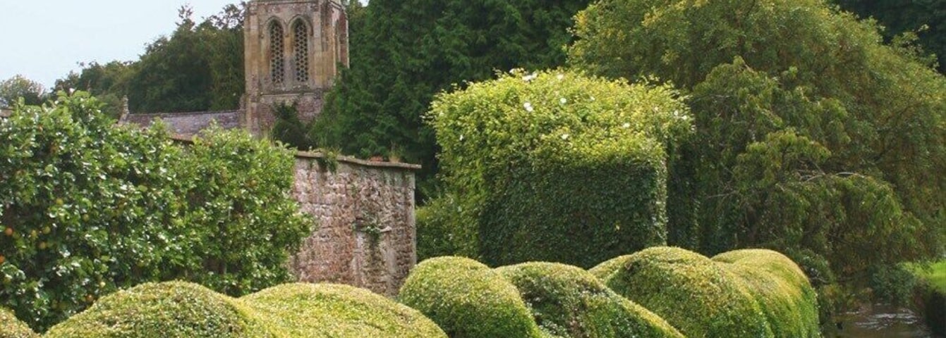 Stream, Hedge & Spire, Teffont Evias