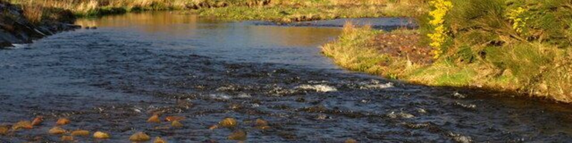 River Breamish, Ingram valley The corner of east Hill on the right.