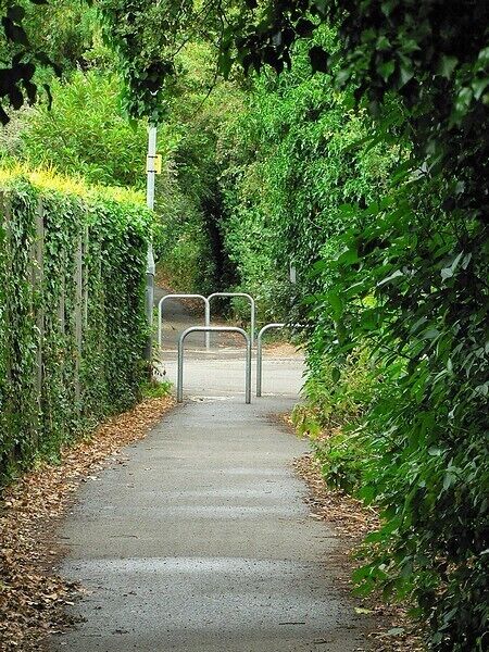 Um caminho pavimentado ladeado por vegetação densa, que leva a um portão de metal.