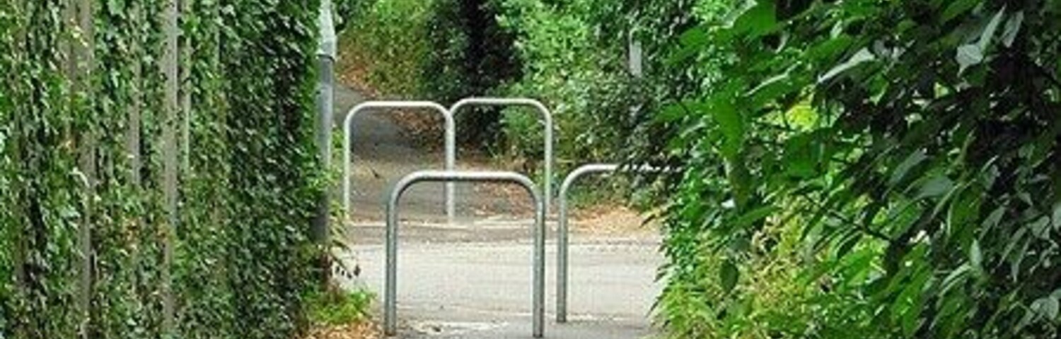 Um caminho pavimentado ladeado por vegetação densa, que leva a um portão de metal.