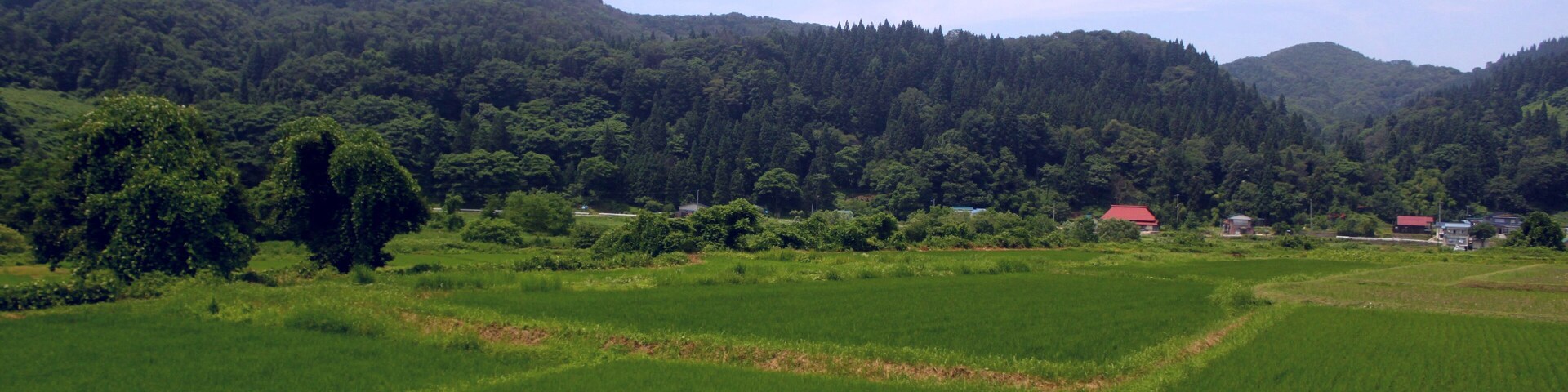 東長沢駅付近の風景