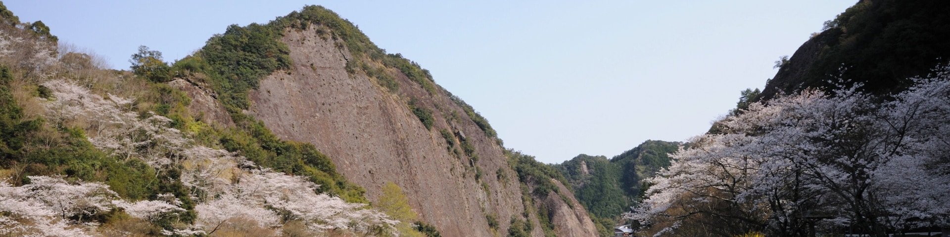 和歌山県古座川町の古座川の一枚岩