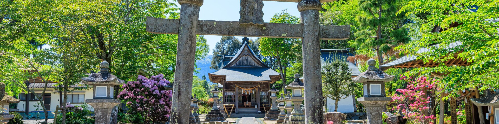 Um jardim japonês tradicional com um portão torii, lanternas de pedra e uma pagoda ao fundo.